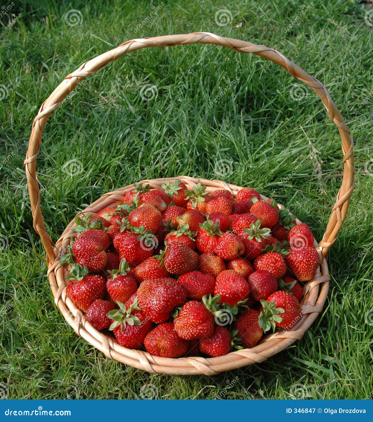 The basket with berries. stock image. Image of grassy, vegetable - 346847