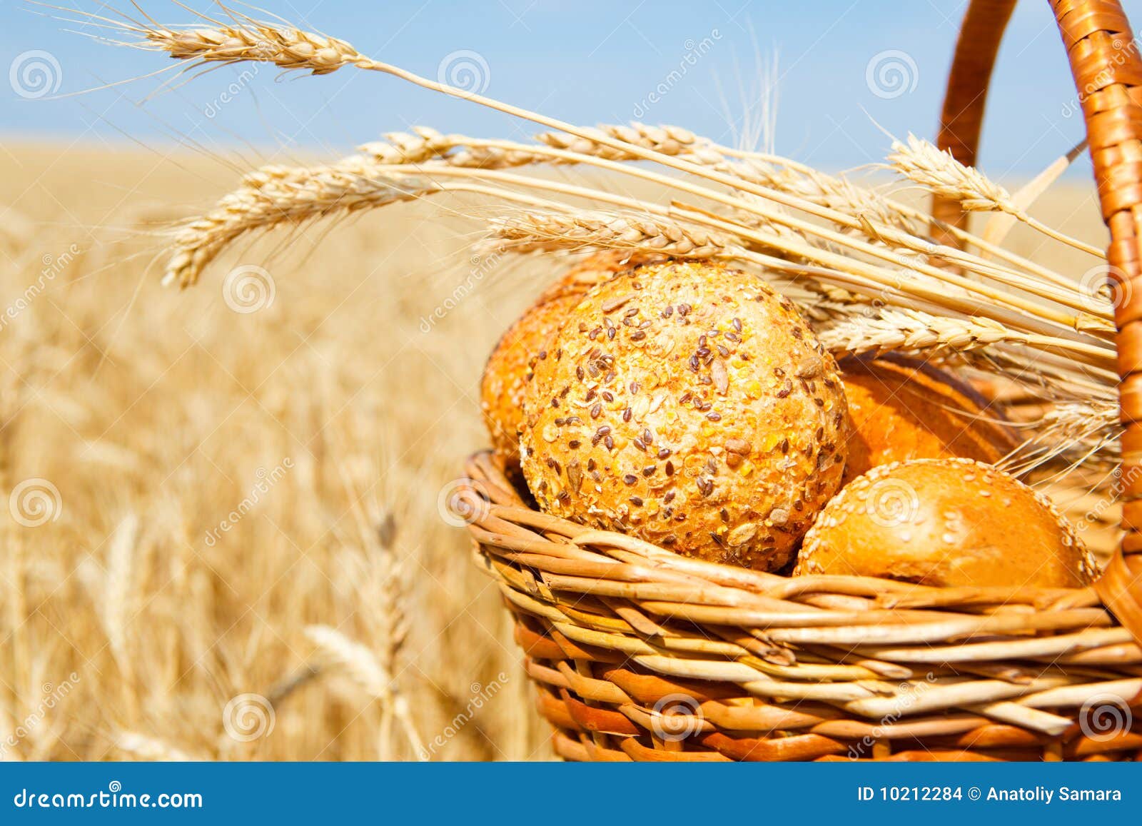 Basket with Bread in a Wheat Field Stock Photo - Image of countryside ...