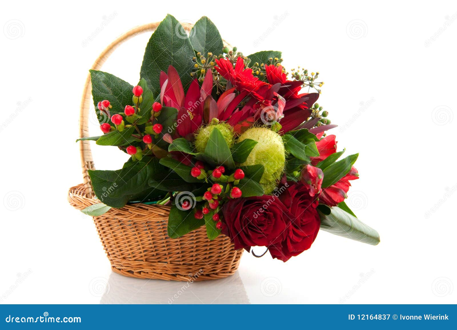 Basket with Christmas Flowers Stock Image - Image of nature, christmas ...
