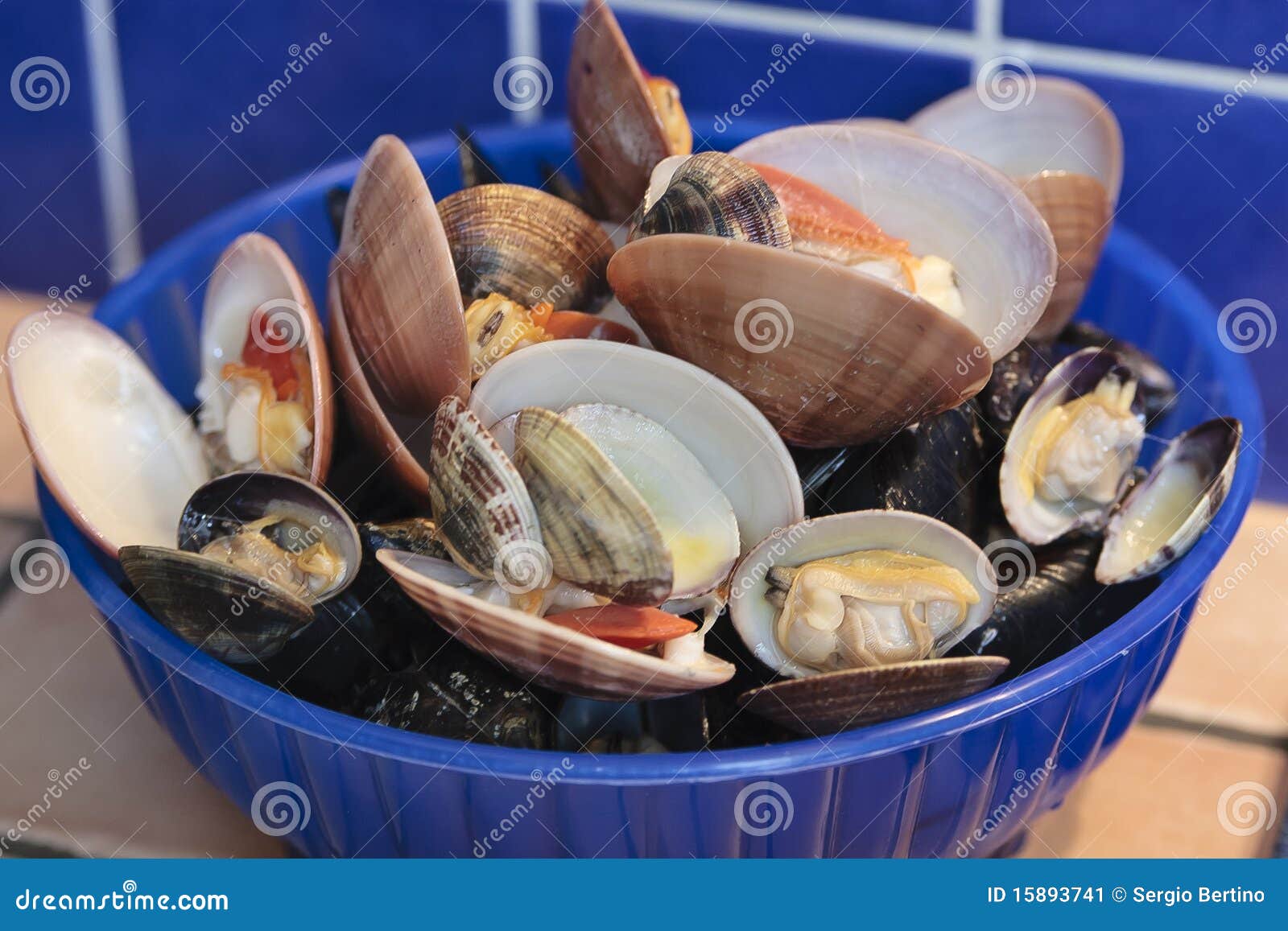 Basket of clams stock image. Image of marine, animal - 15893741
