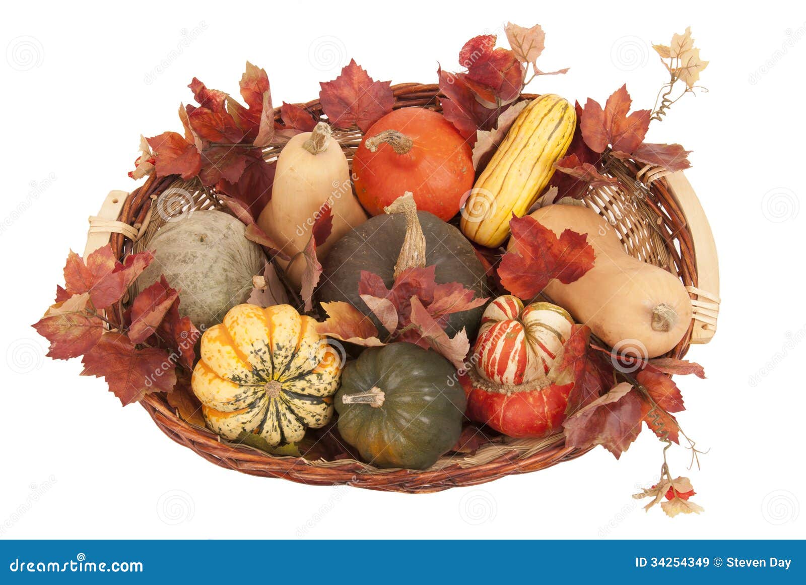 Basket of Colorful Fall Squash Harverst and Leaves Stock Image - Image ...