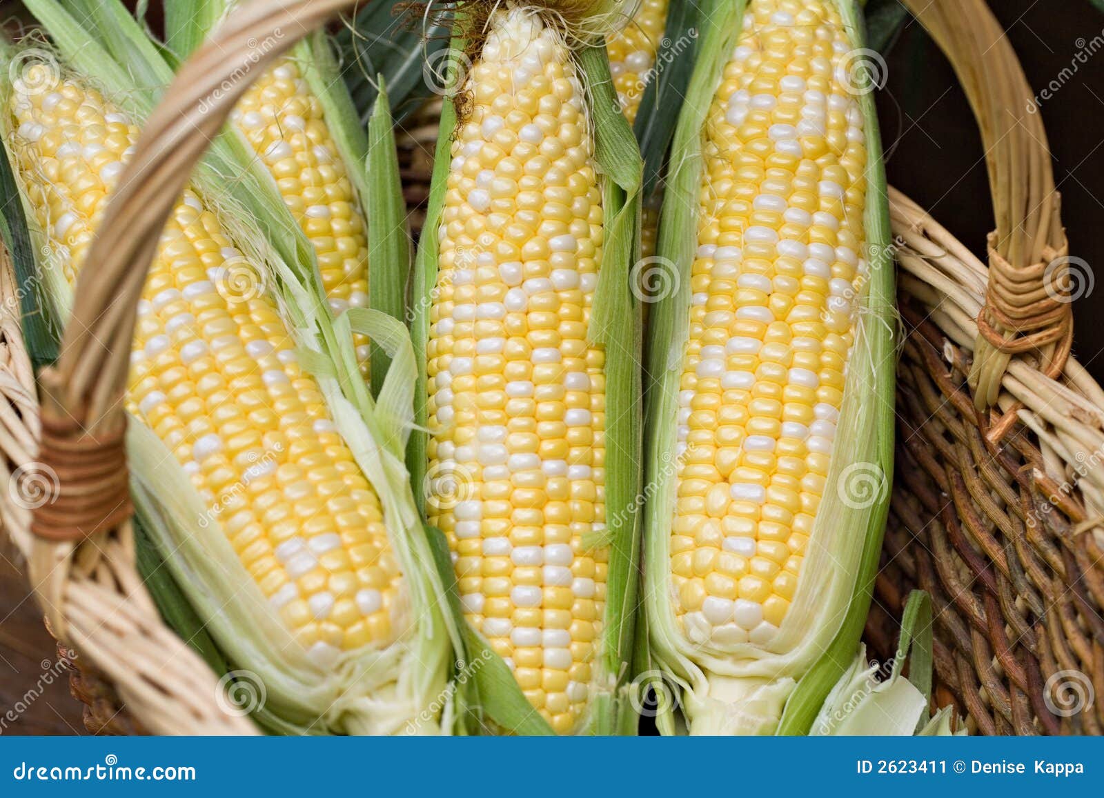 Basket with Corn stock image. Image of husks, agriculture - 2623411
