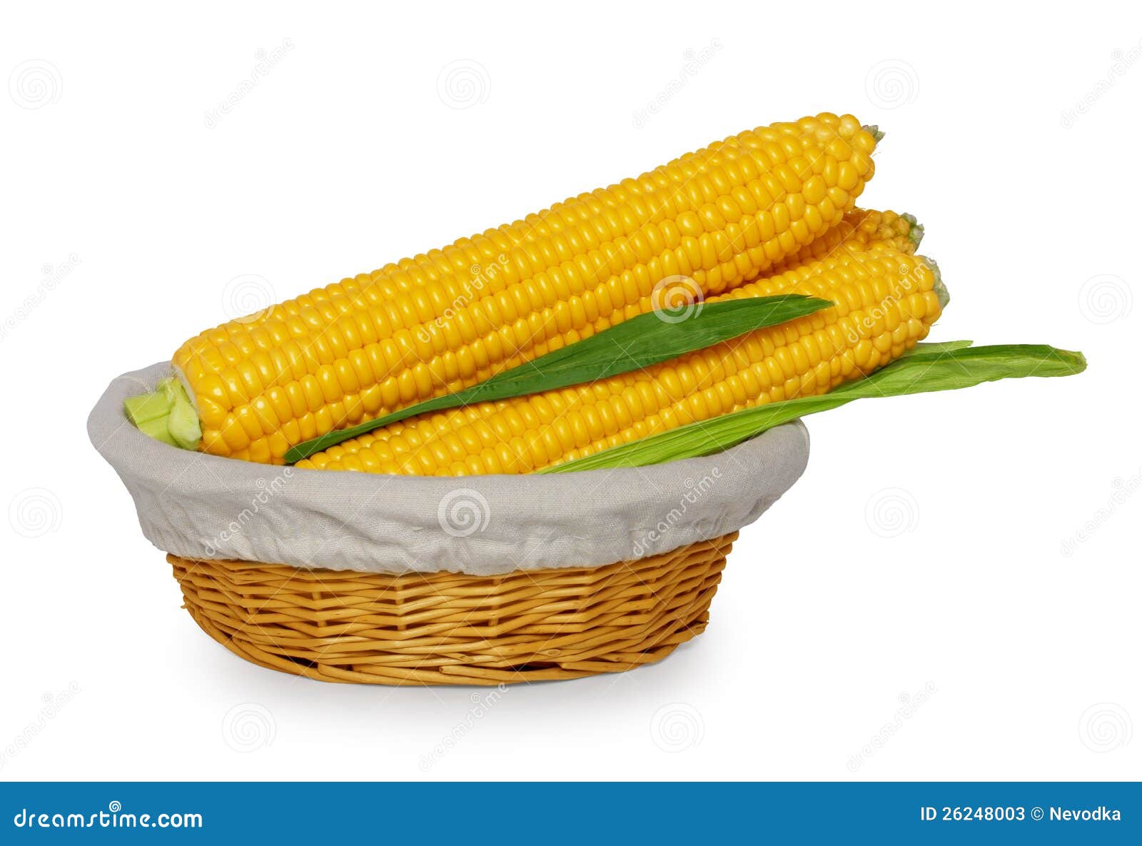 Basket of corn stock image. Image of group, white, vine - 26248003