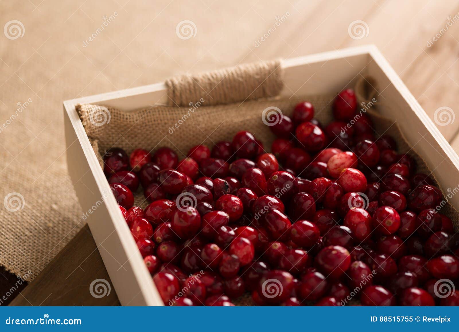 Basket of Cranberries stock image. Image of group, brown - 88515755