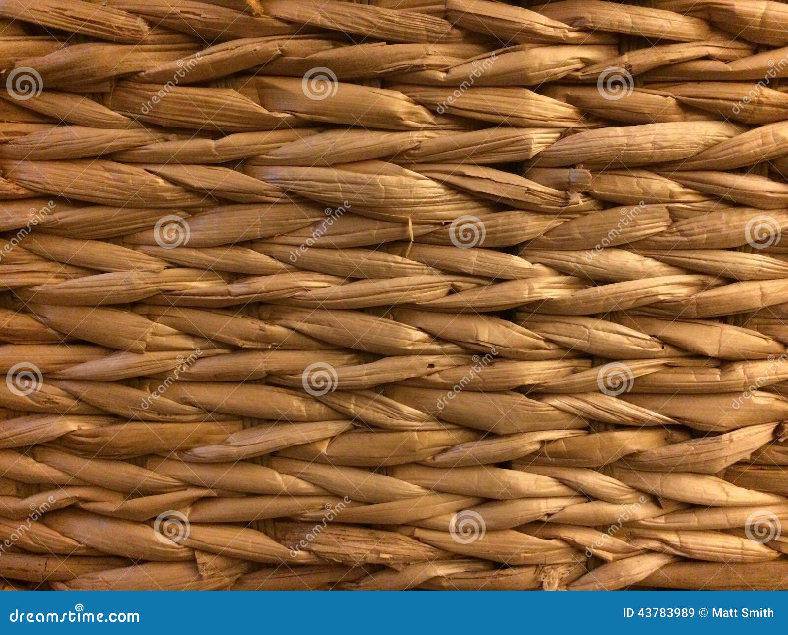 Royalty Free Images, Cartoons, Illustrations And Photos Designed By ...