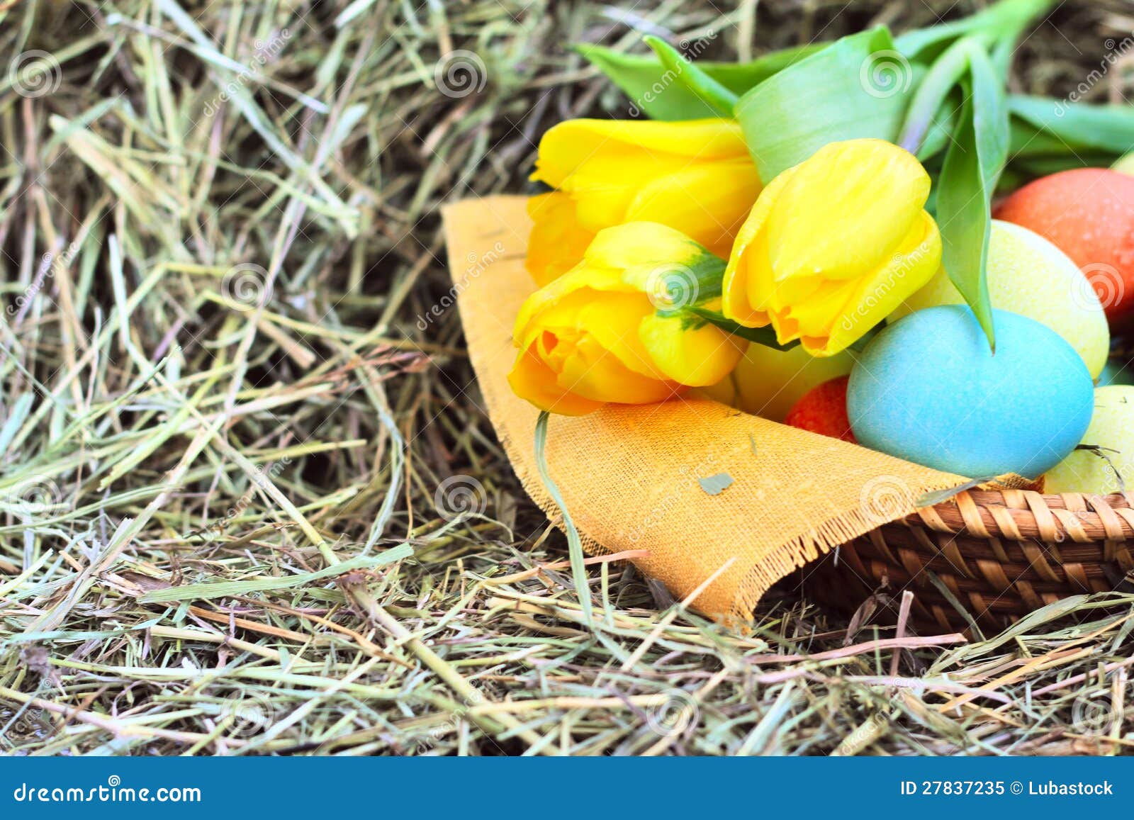 Basket of Easter Eggs and Tulips on Hay Stock Image - Image of ...