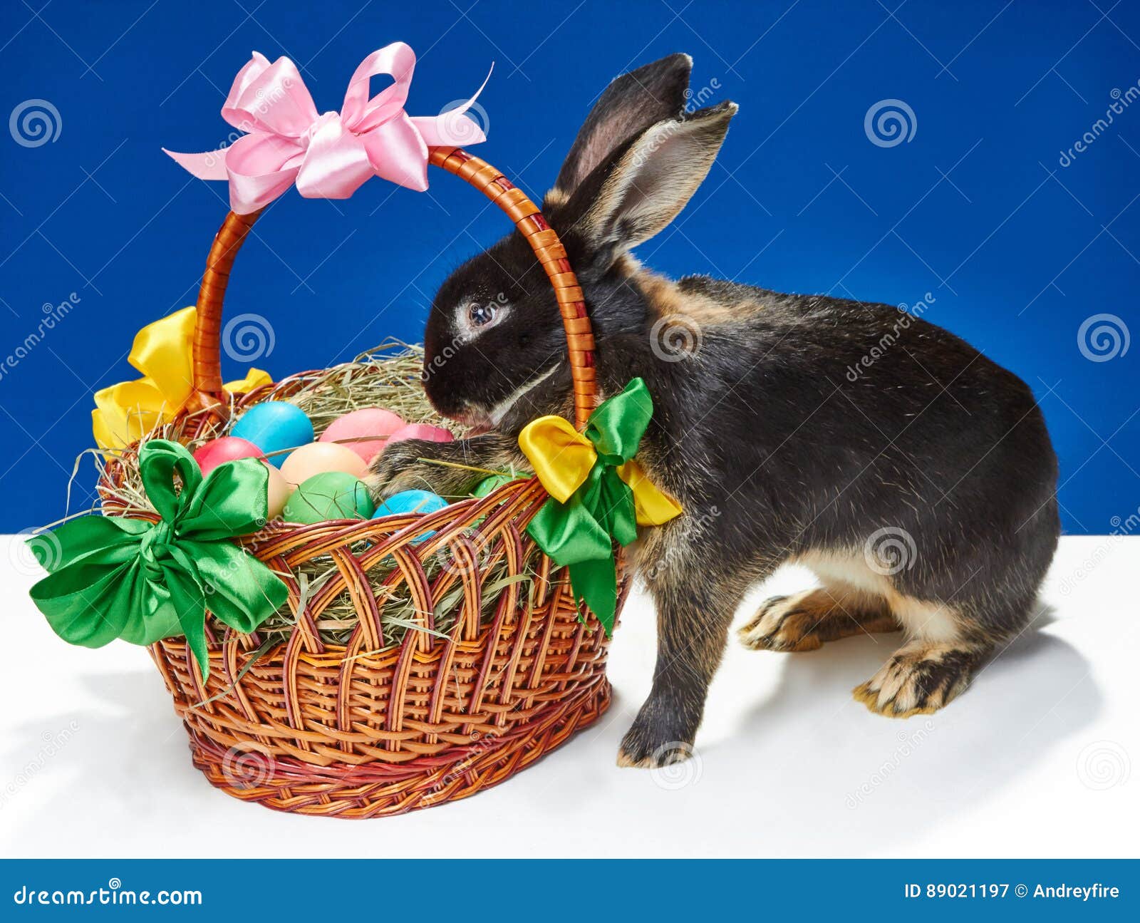 In the Basket with Eggs the Rabbit is Peeking Stock Image - Image of ...