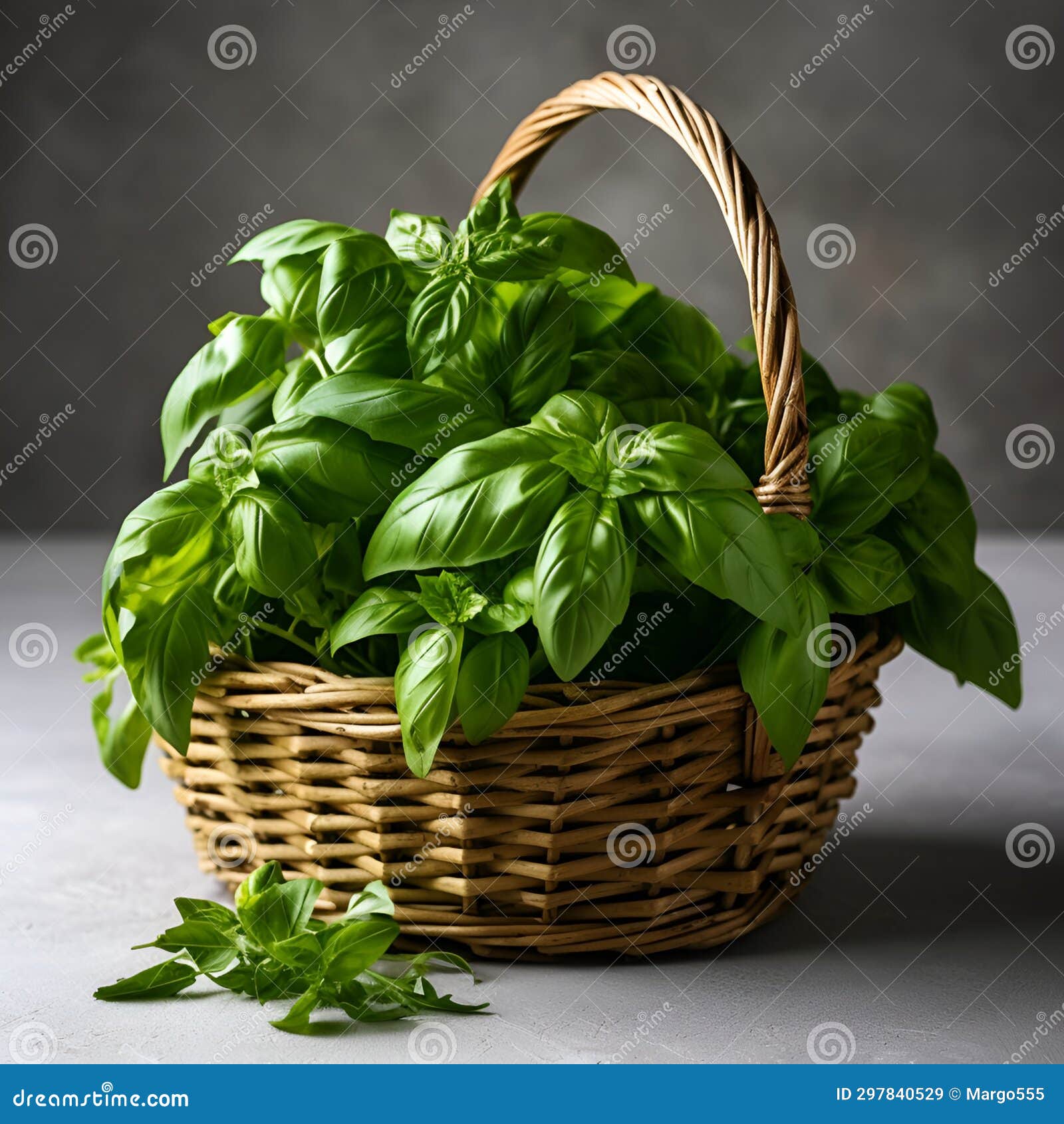 Basket with Fragrant Basil Herbs Stock Image - Image of leaves, herbal ...