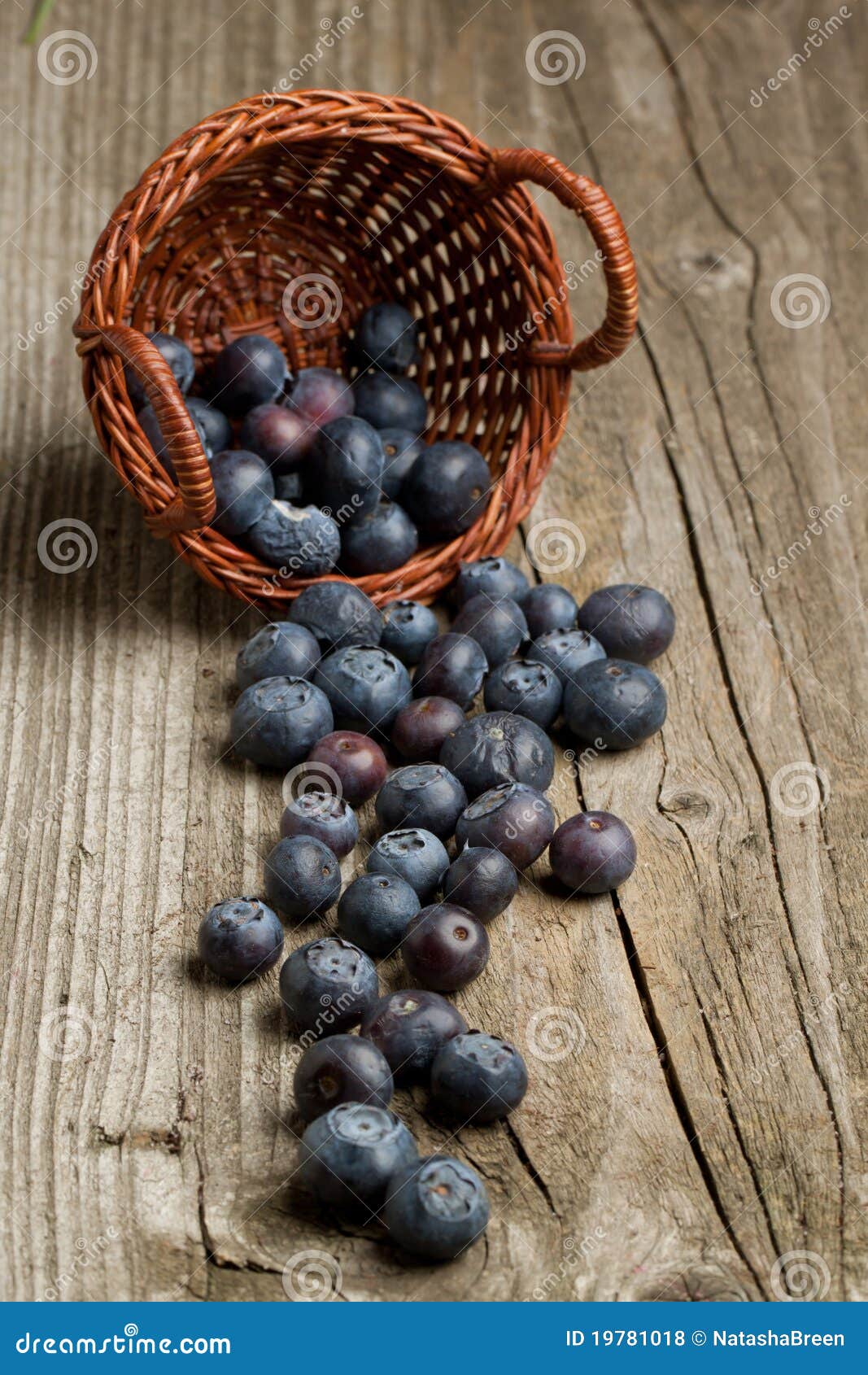 Basket with Fresh Blueberry Stock Photo - Image of berry, diet: 19781018