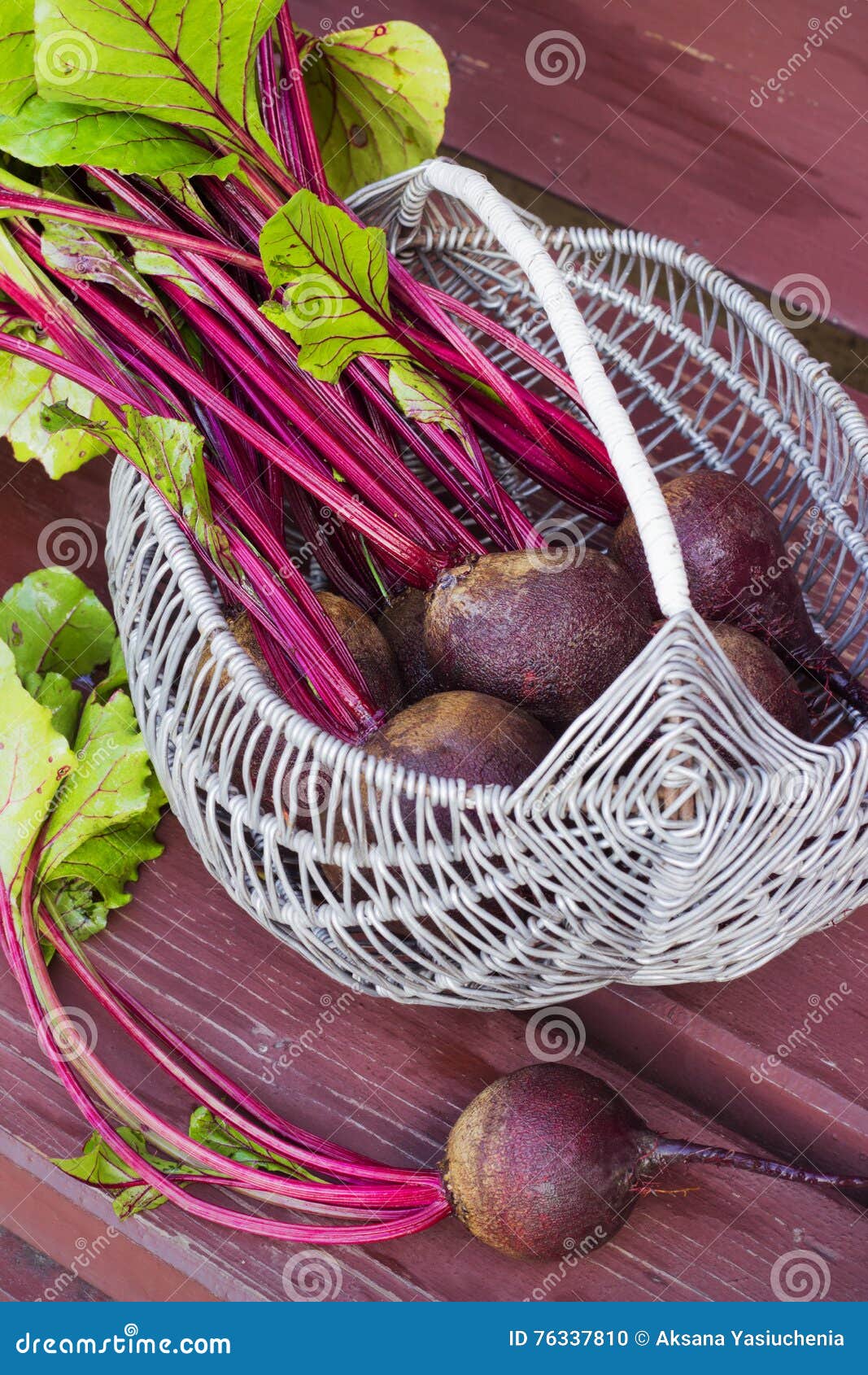 Basket of Fresh Harvested Beetroots, Beets with Leaves Stock Photo ...