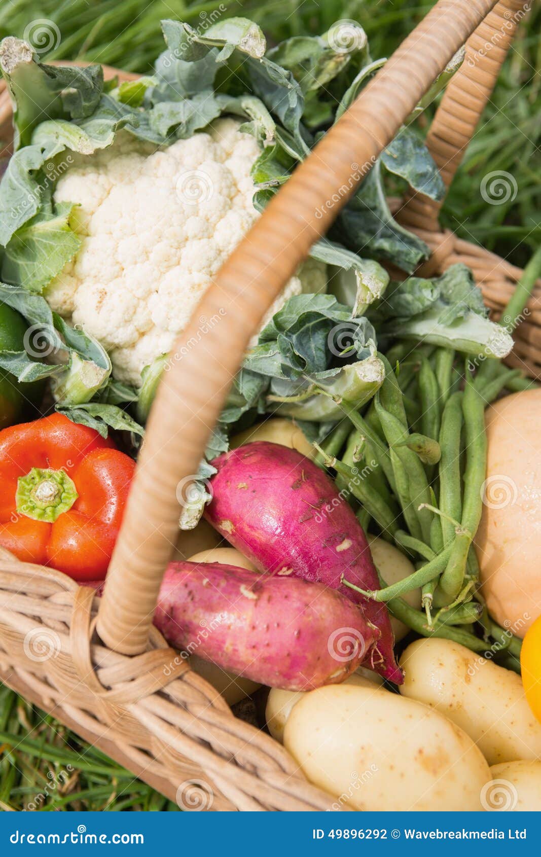Basket of Fresh Organic Veg Stock Photo - Image of nature, locally ...