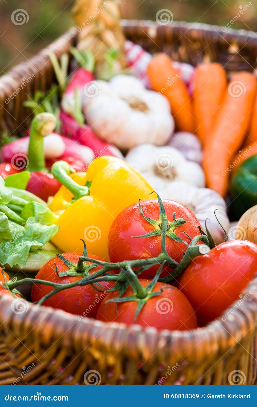 A Basket of Fresh Organic Vegtables Stock Image - Image of farm, radish ...