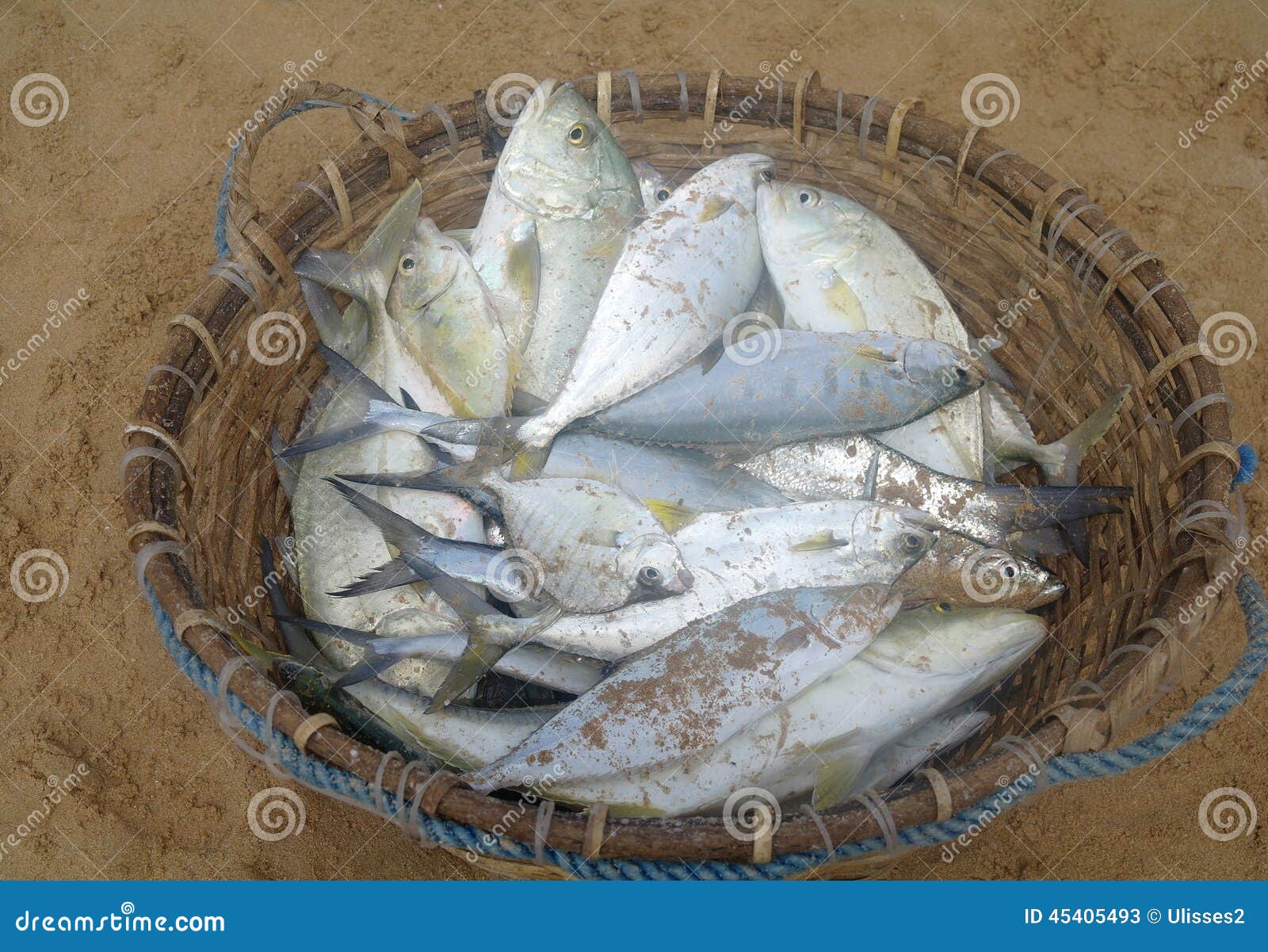 A Basket of Freshly Silver Fish Stock Image - Image of lifestyle ...