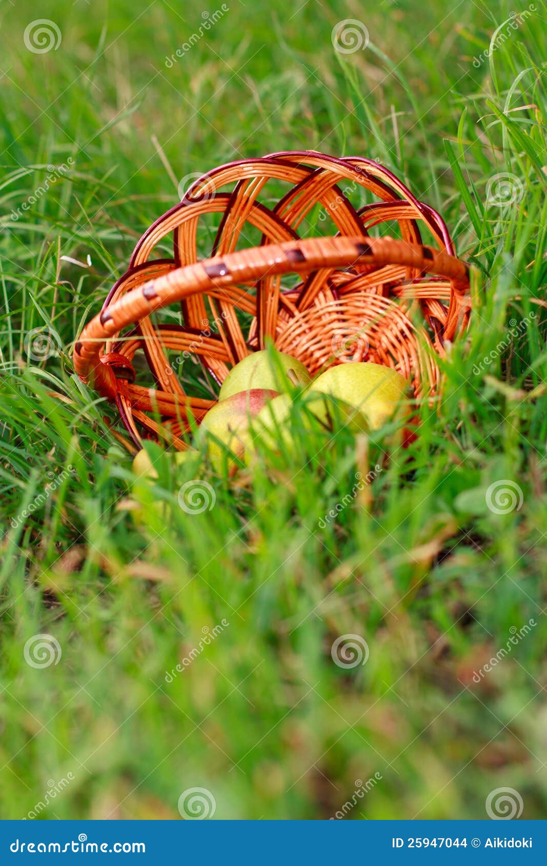 Basket of Fruits Scattered in a Grass Stock Photo - Image of apples ...