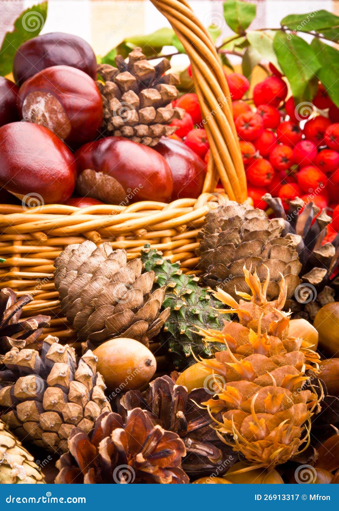 Basket Full of Autumn Acorns, Cones and Chestnuts Stock Image - Image ...