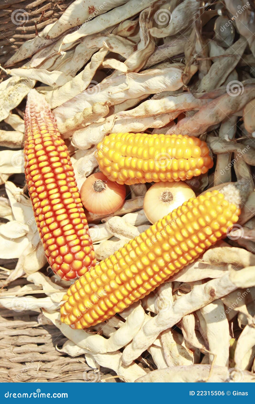 Basket full of autumn crop stock photo. Image of eats - 22315506