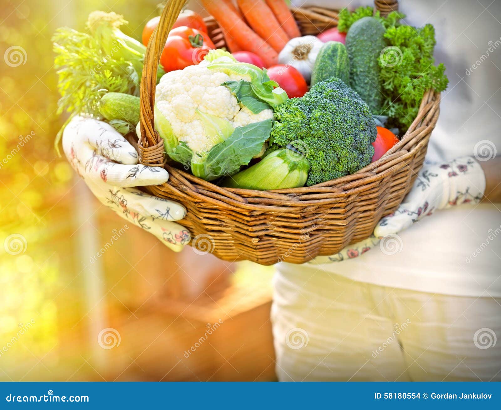 Basket is Full of Fresh Organic Vegetables Stock Photo - Image of corn ...