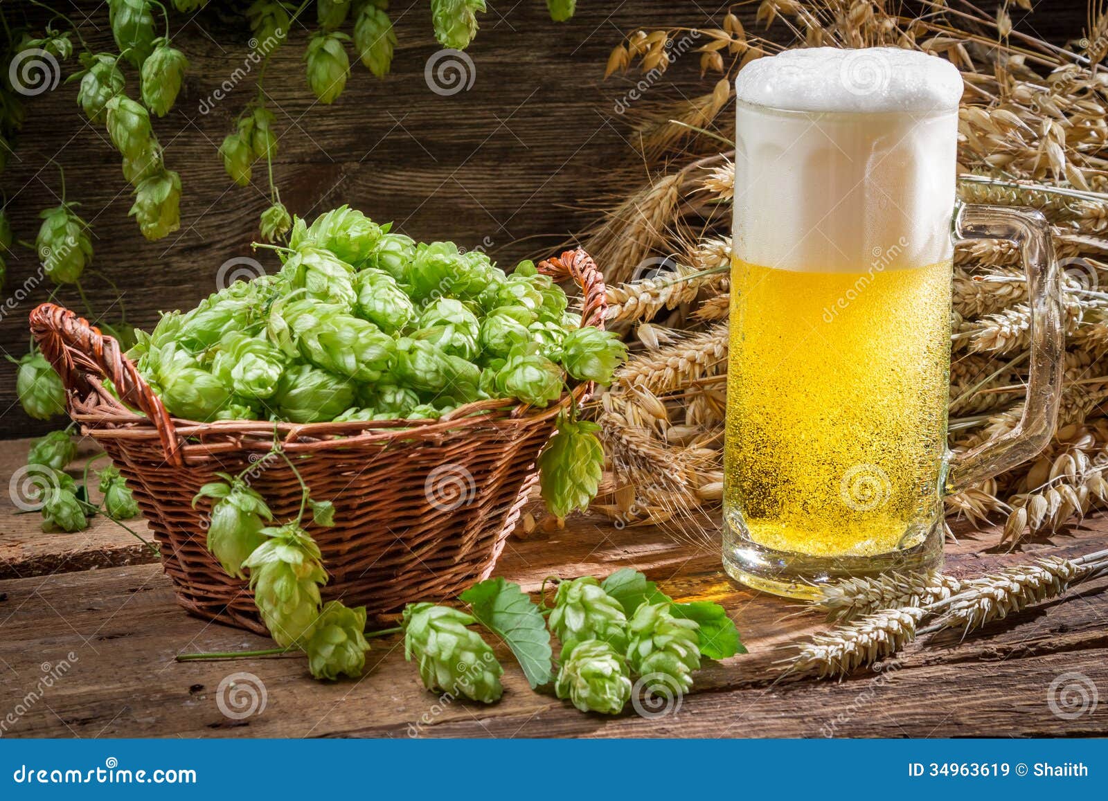 Basket Full of Hops and a Cold Beer Stock Image - Image of brewed ...