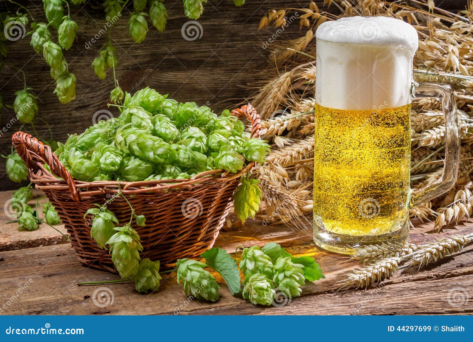 Basket Full of Hops and a Cold Beer Stock Image - Image of drink, leaf ...