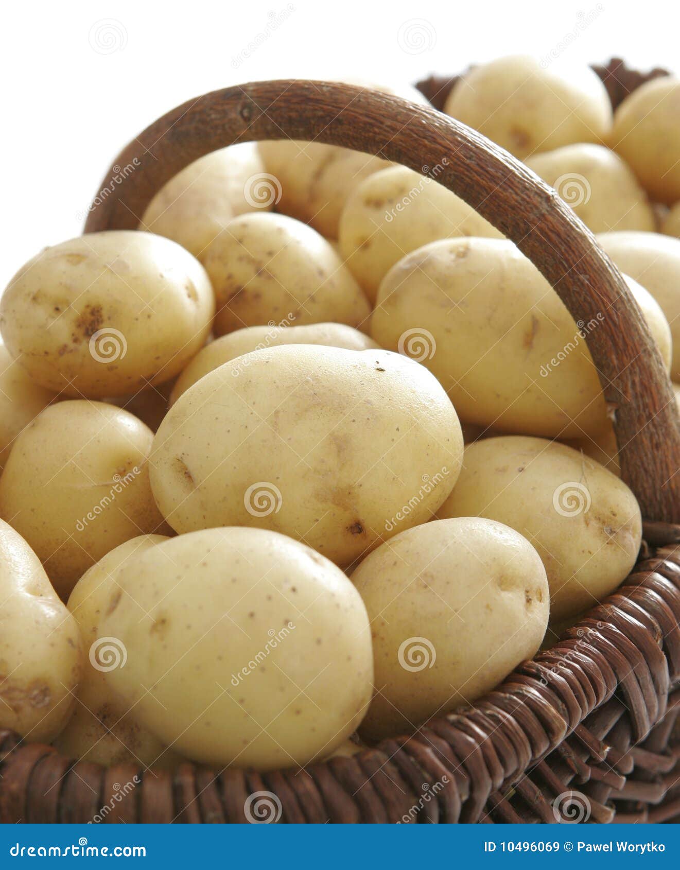 Basket full of potatoes stock image. Image of garden - 10496069