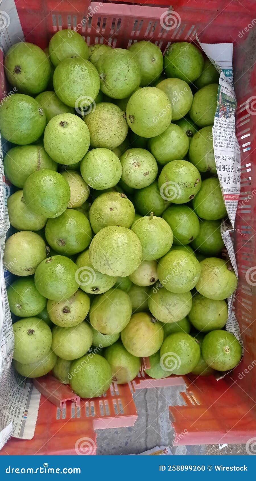 Ripe Guavas Basket Stock Photos - Free & Royalty-Free Stock Photos from ...