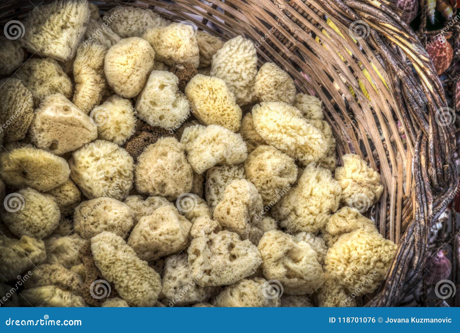 Sea Sponges in a Basket stock photo. Image of souvenir - 118701076