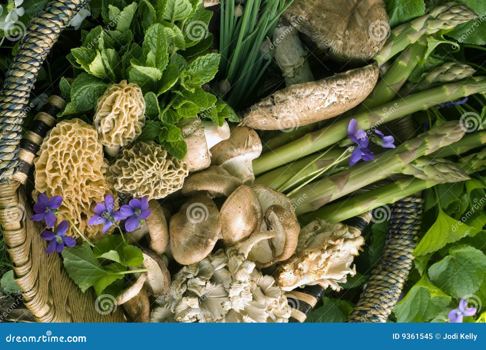 Basket Full of Spring Mushrooms Stock Image - Image of basket, flowers ...