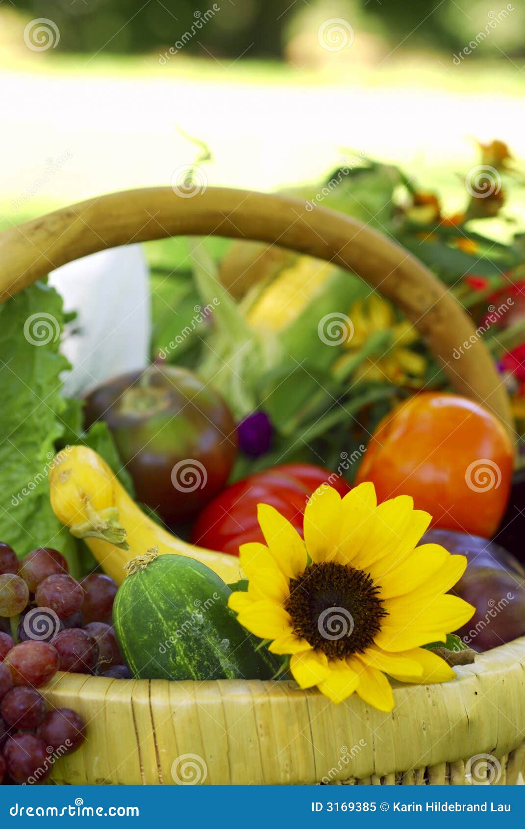 Basket of Garden Vegetables Stock Image - Image of harvested, fresh ...