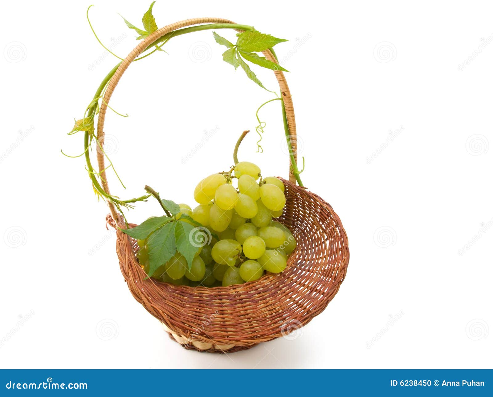 Basket with grapes stock photo. Image of produce, sour - 6238450