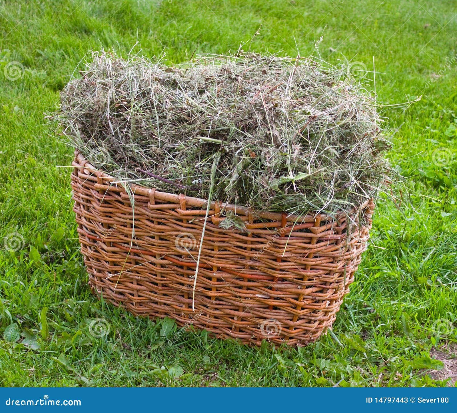 Basket with hay armful stock image. Image of armful, close - 14797443