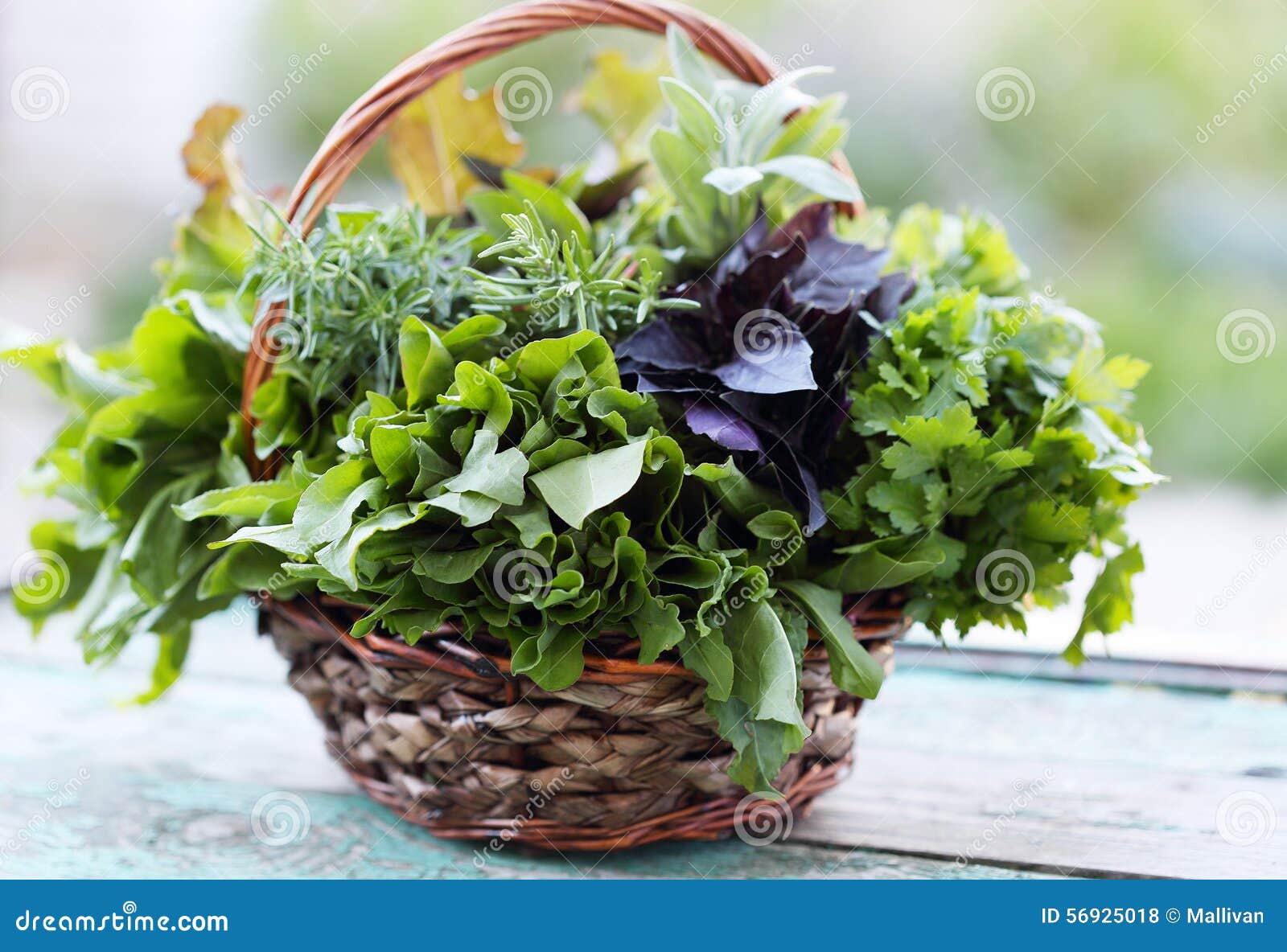 Basket with herbs stock photo. Image of basket, marjoram - 56925018