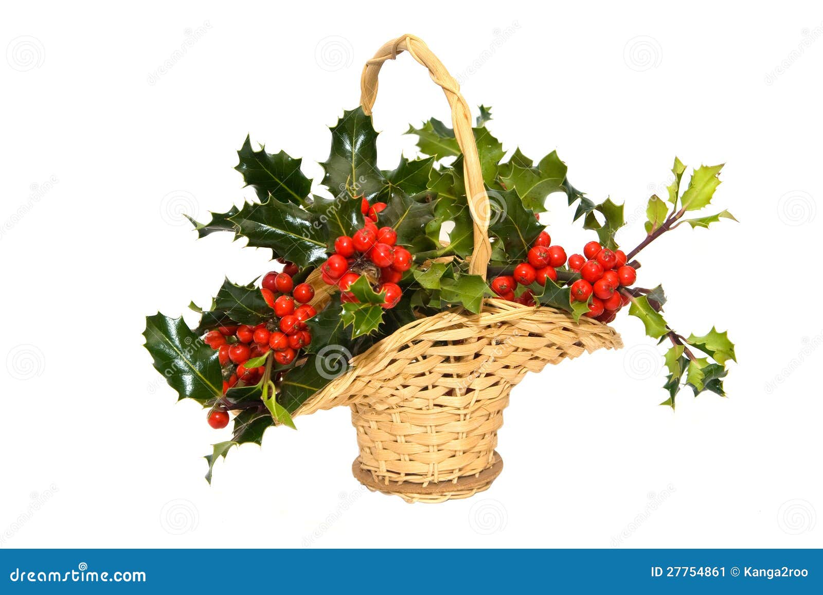 A Basket of a Holly Tree Branches Stock Image - Image of plant ...