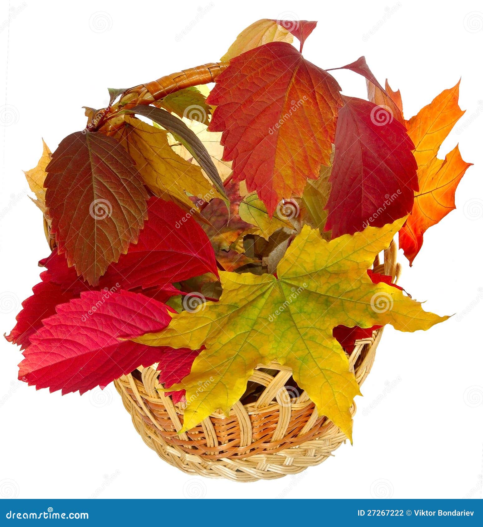 Basket with leaves stock photo. Image of fall, ecology - 27267222