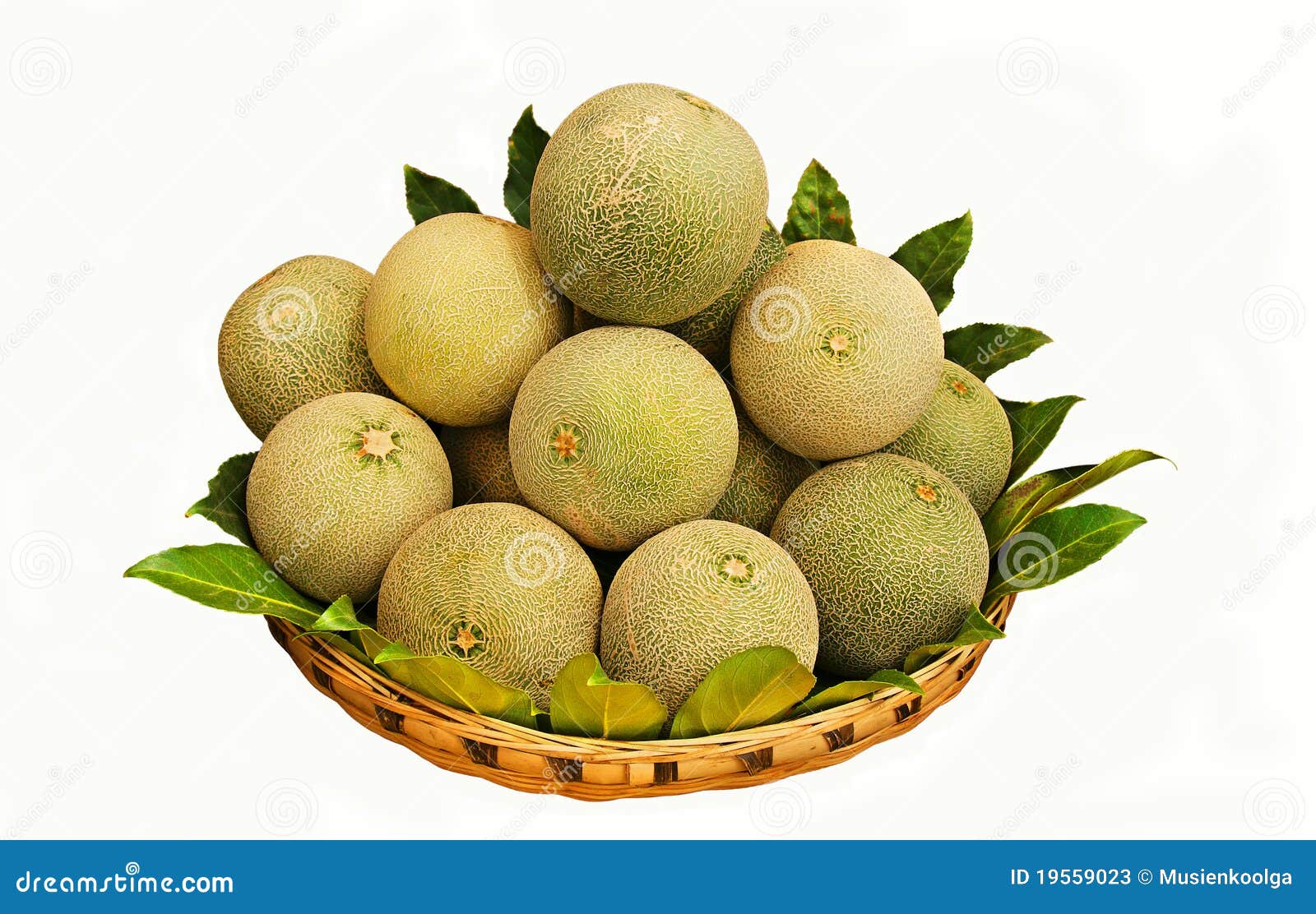 Basket with melons. stock image. Image of ripe, market - 19559023