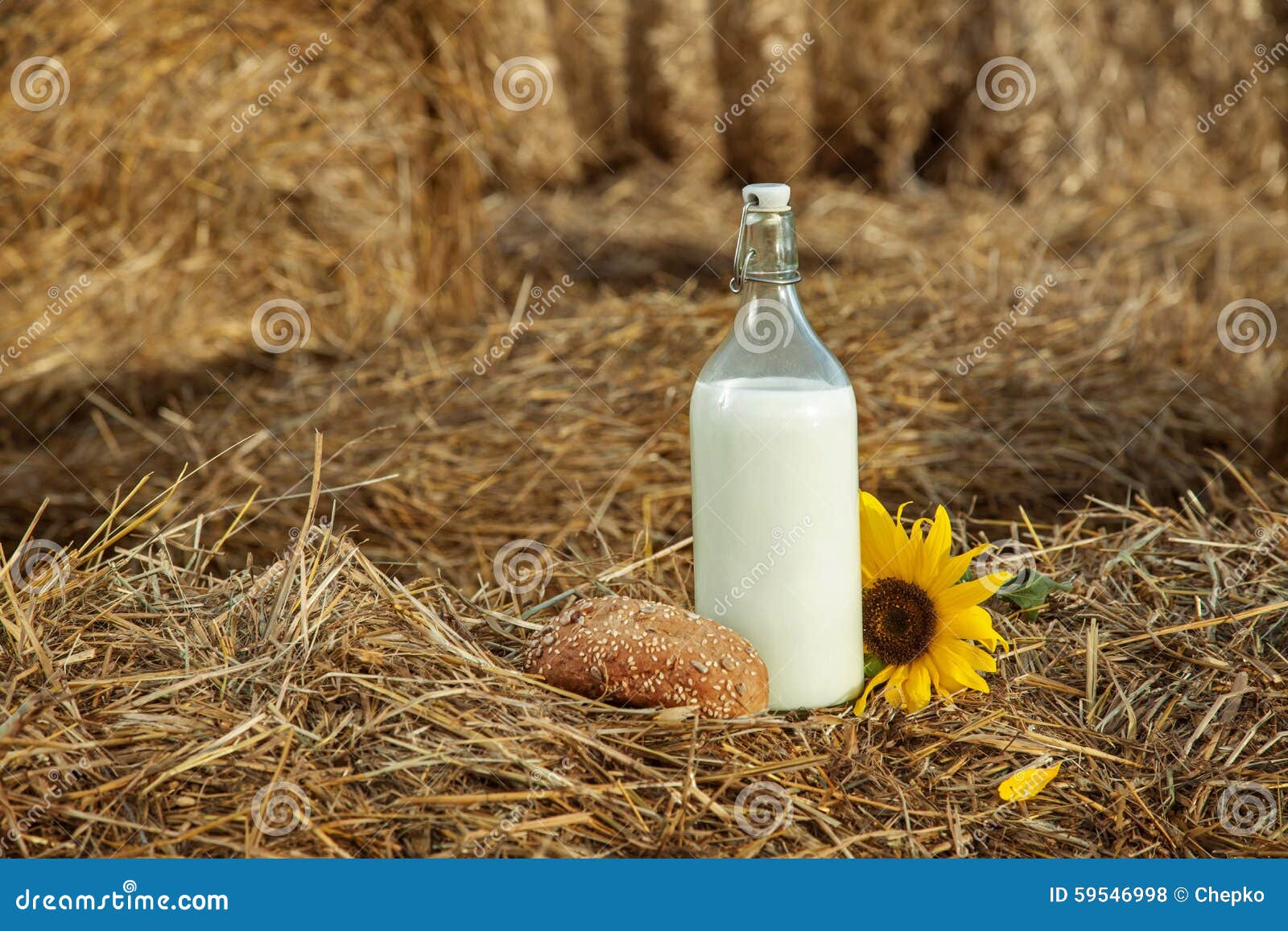 Basket with Milk in Haystack Stock Photo - Image of breakfast, eating ...