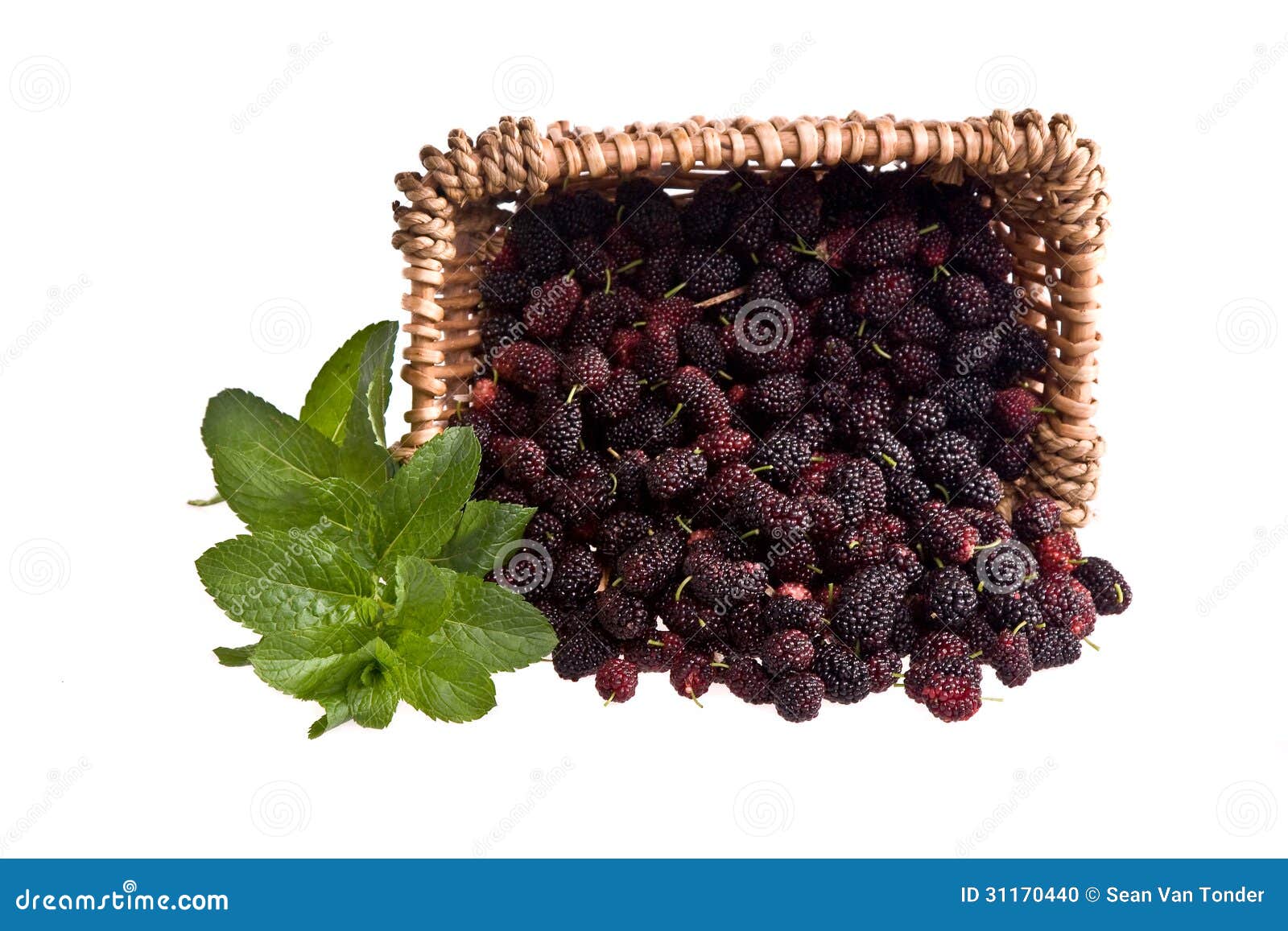 A Basket of Mulberries and Green Mint Leaf Stock Photo - Image of ...