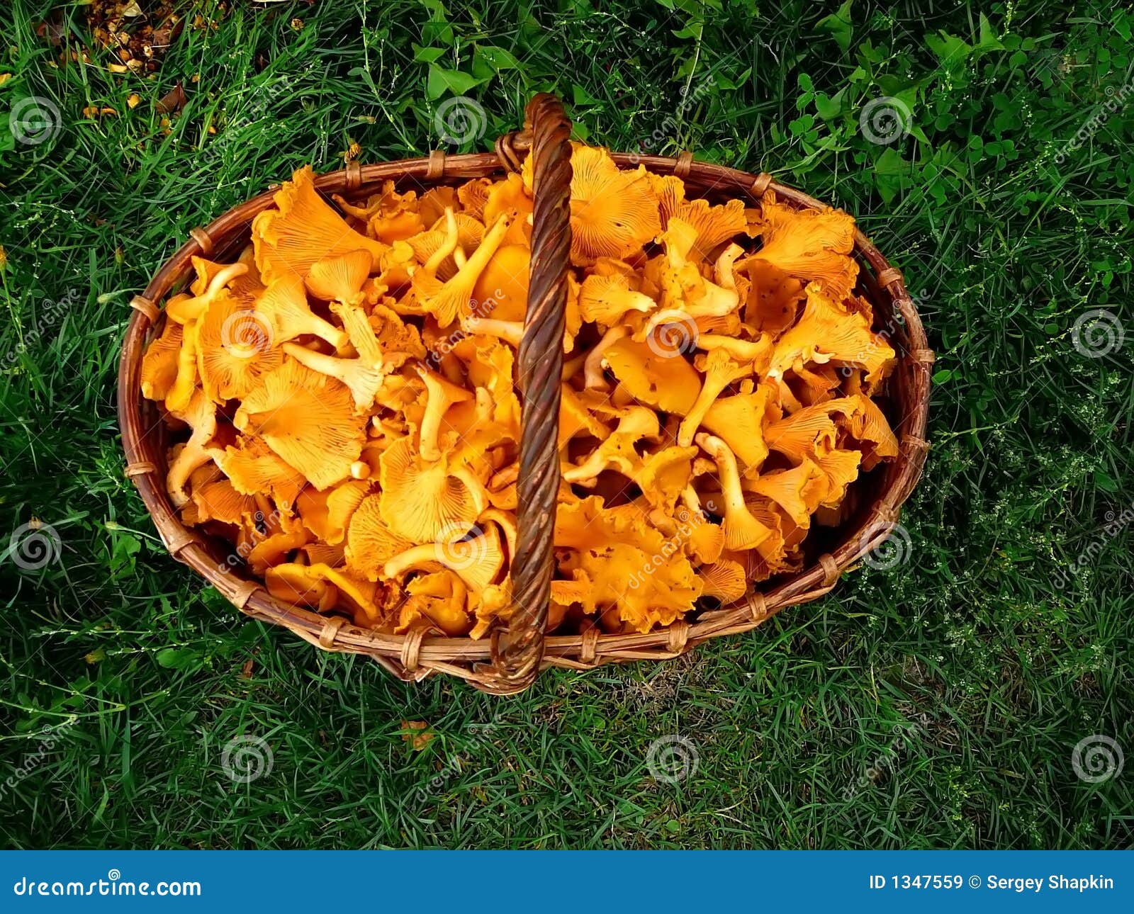 Fullbasket Photos - Free & Royalty-Free Stock Photos from Dreamstime