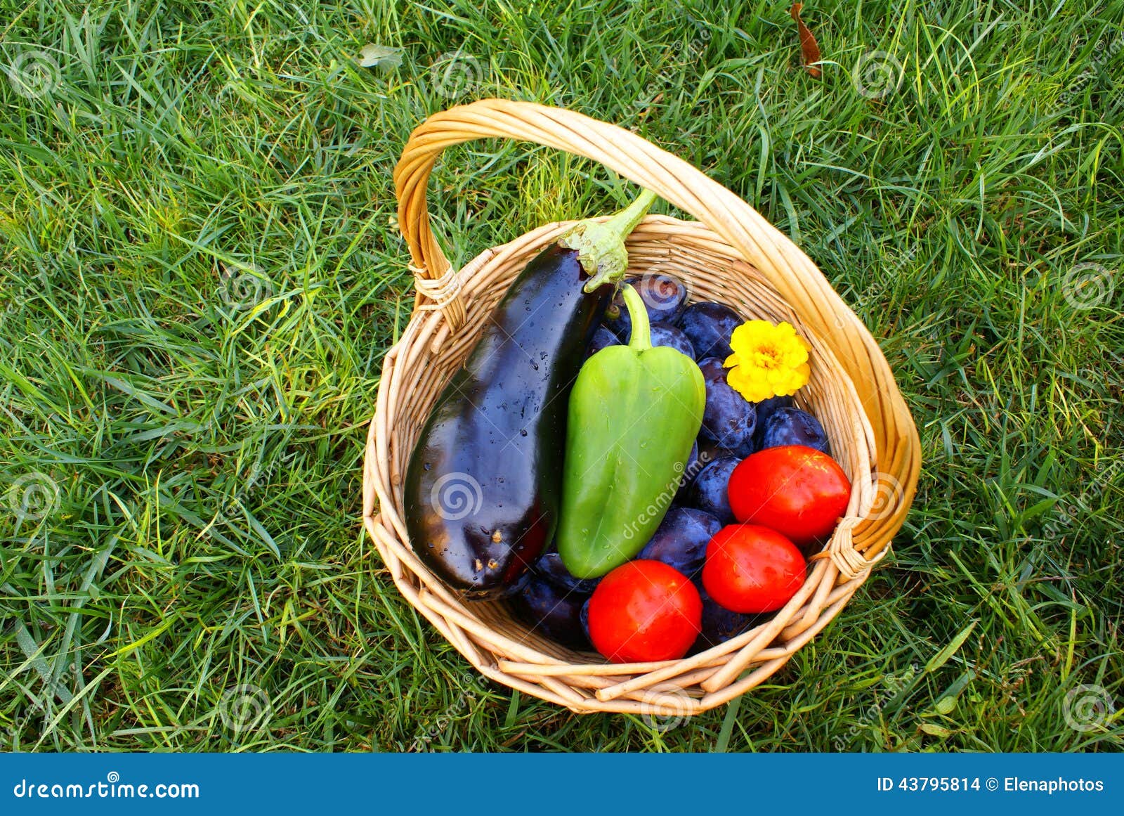 Basket with Organic Vegetables and Fruits Stock Photo - Image of ...