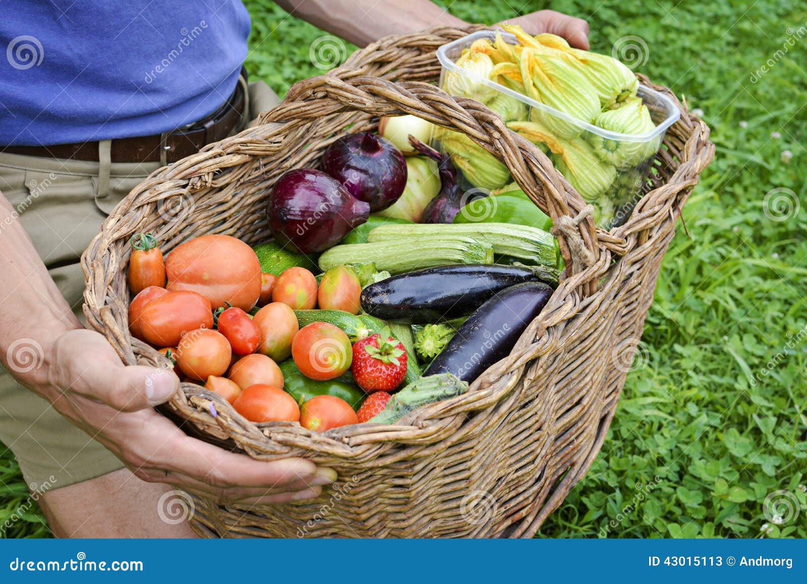 Basket of Organic Vegetables Stock Image - Image of cooking, food: 43015113