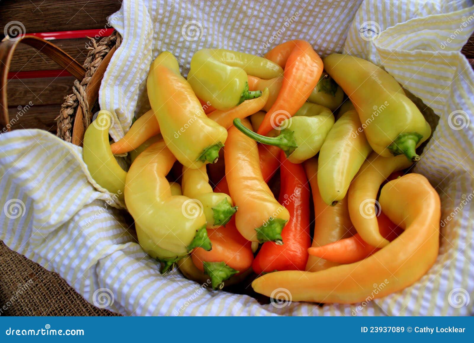 Basket of peppers stock image. Image of diet, orange - 23937089