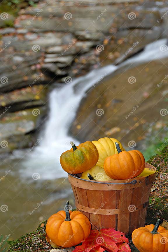 Basket of Pumpkins stock image. Image of waterfall, copy - 3284097