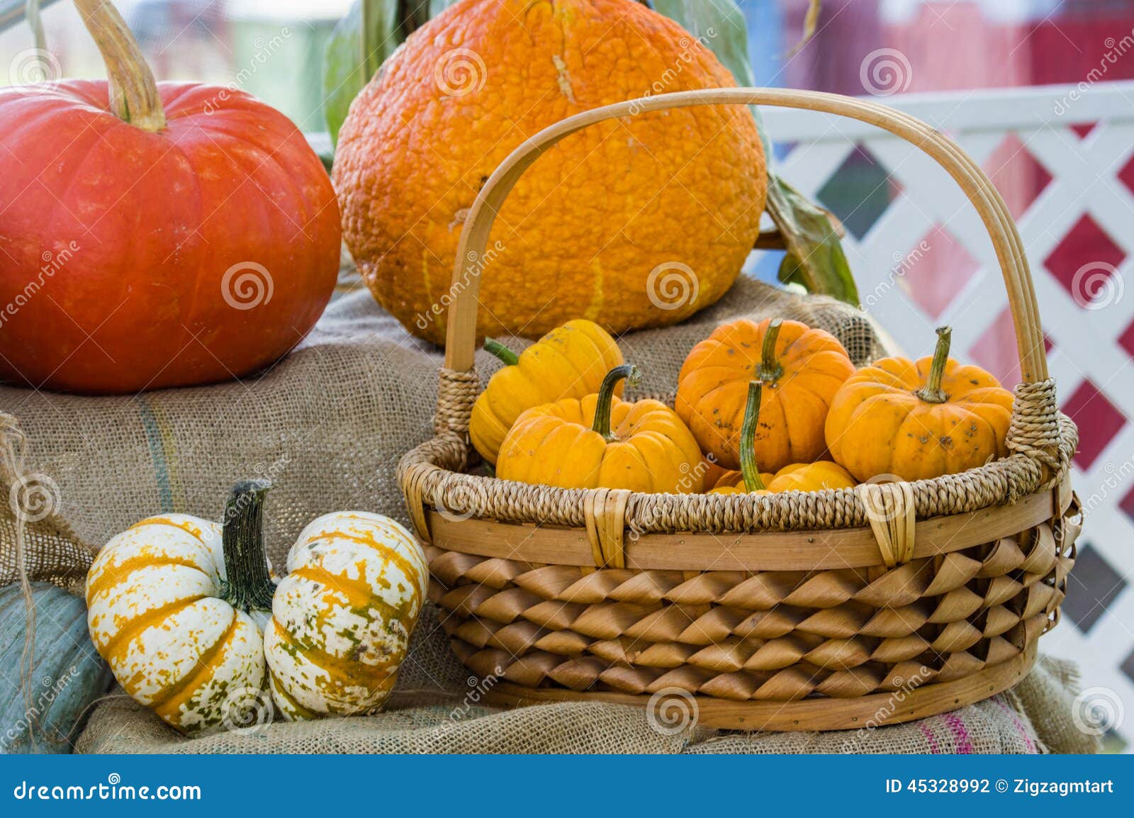 Basket of Pumpkins with Squash Stock Photo - Image of agriculture ...