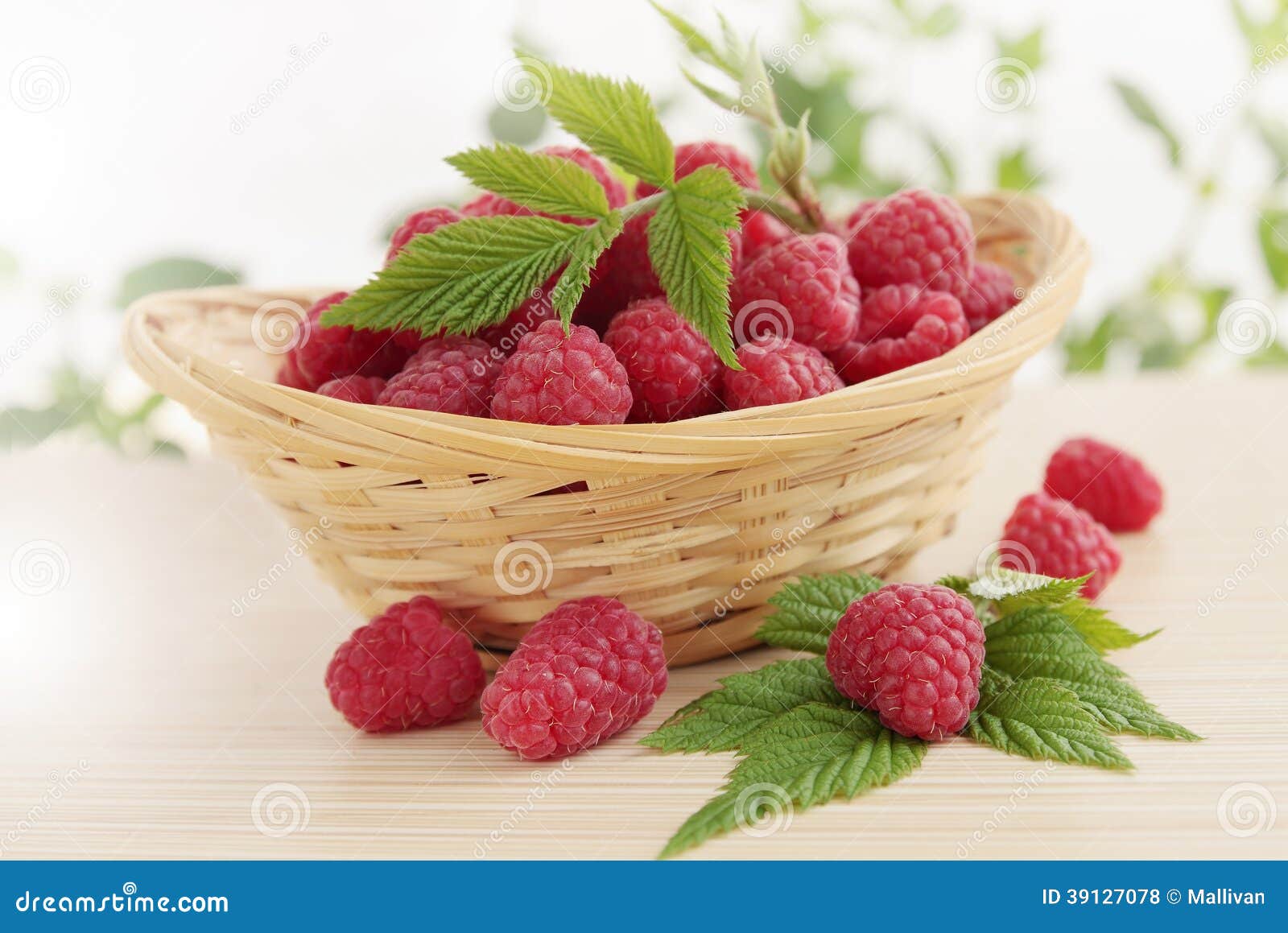 Basket with a raspberry stock photo. Image of agriculture - 39127078