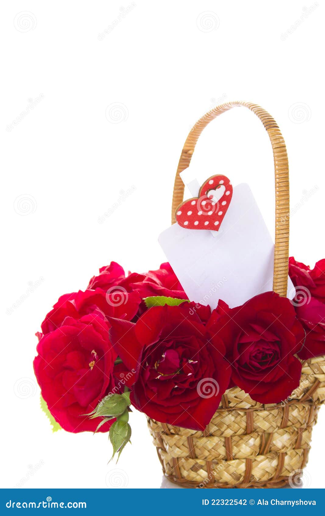 Basket of roses stock photo. Image of blooming, brown - 22322542