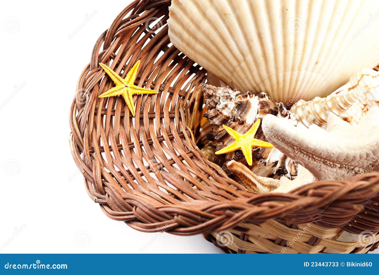 Basket with seashells. stock image. Image of horizontal - 23443733