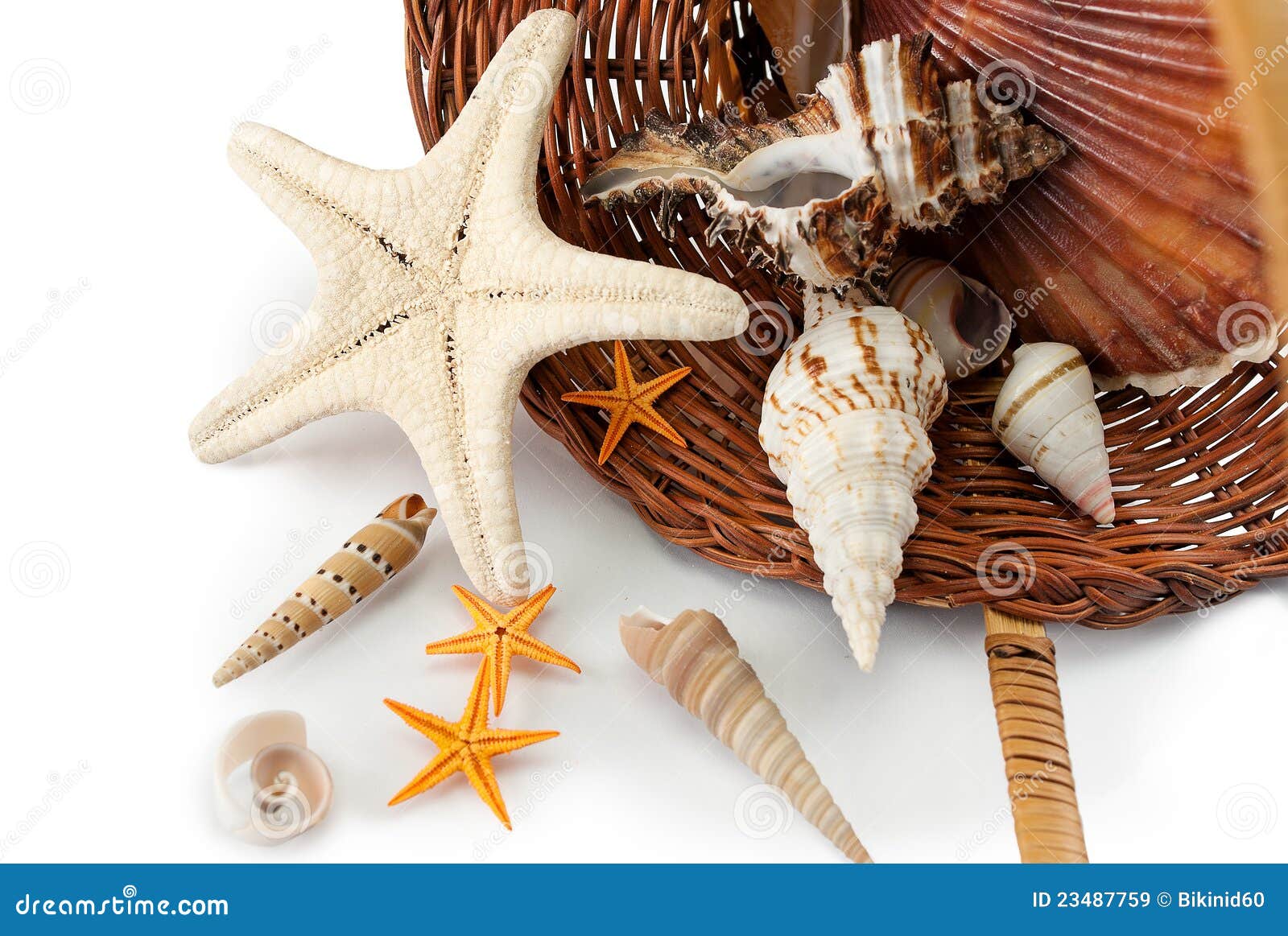 Basket with seashells. stock image. Image of clean, relaxation - 23487759