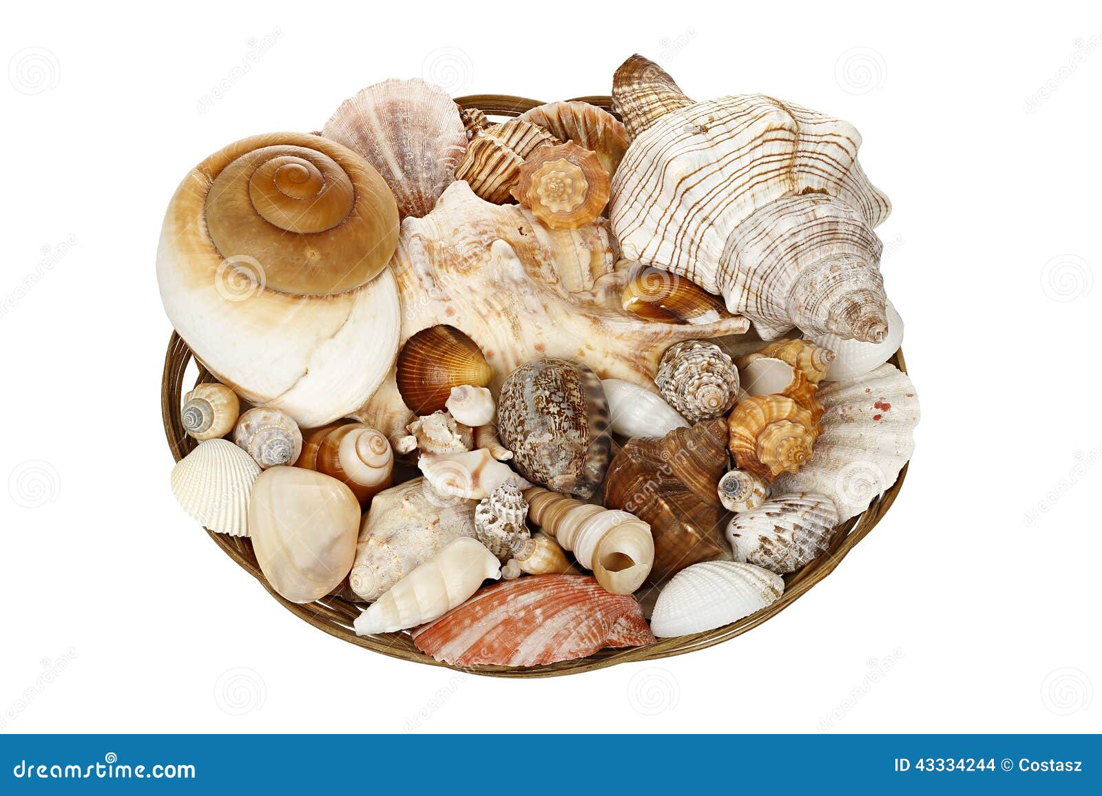 Basket of seashells stock photo. Image of objects, brown - 43334244