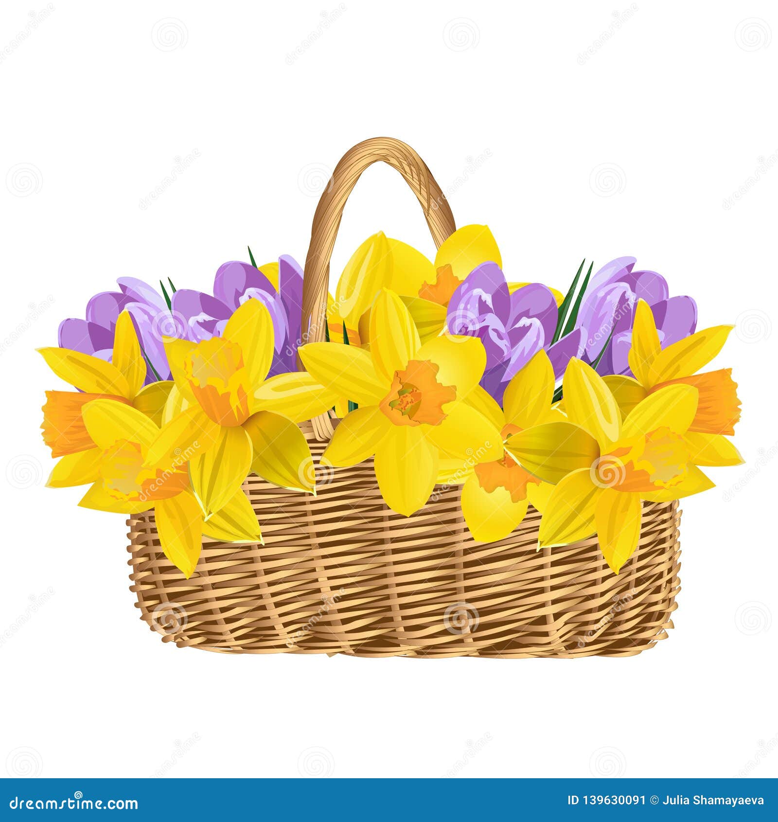 Basket with Spring Flowers Isolated on White Background. Wicker Basket ...