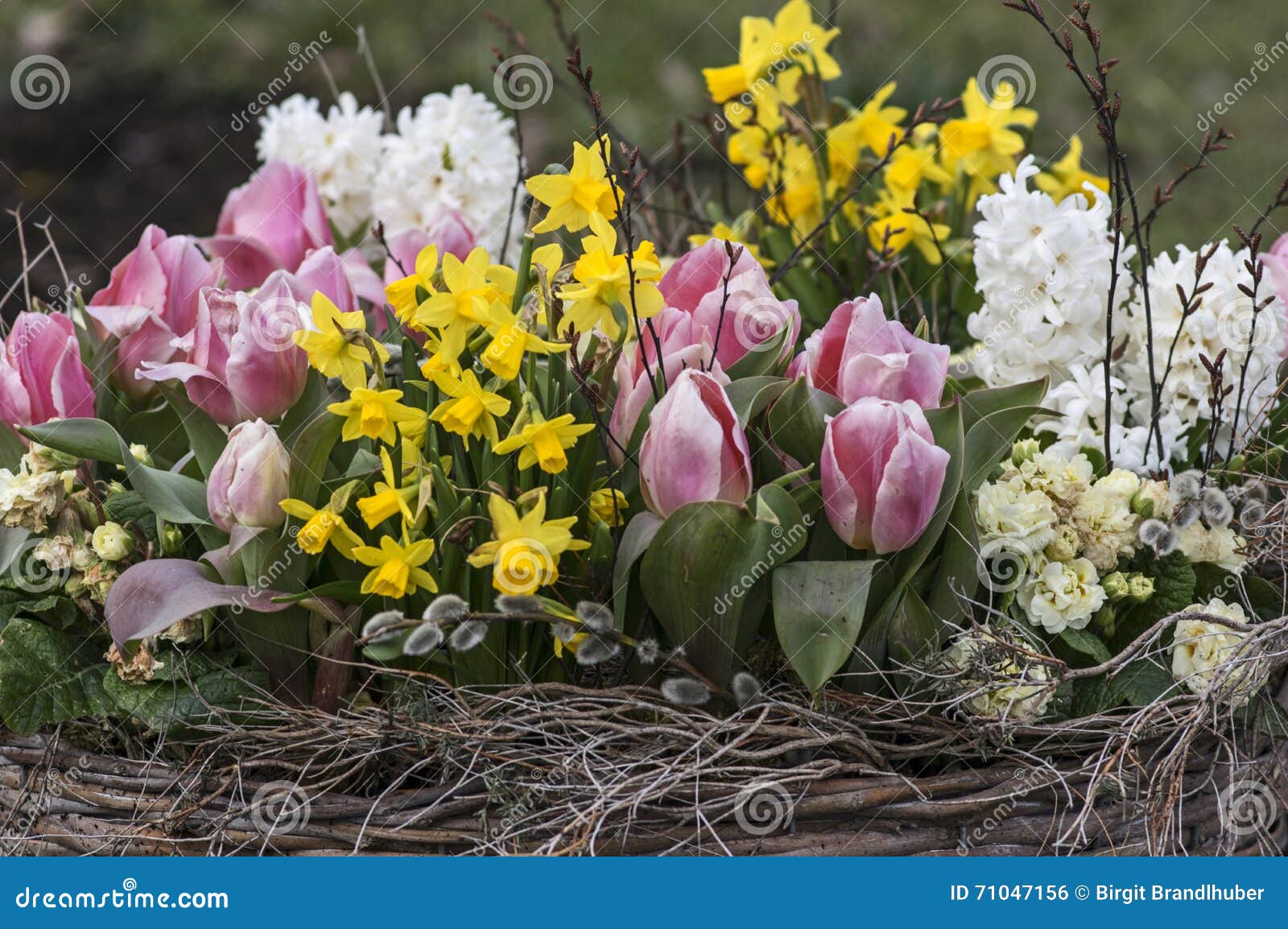 Basket with spring flowers stock photo. Image of bloom - 71047156