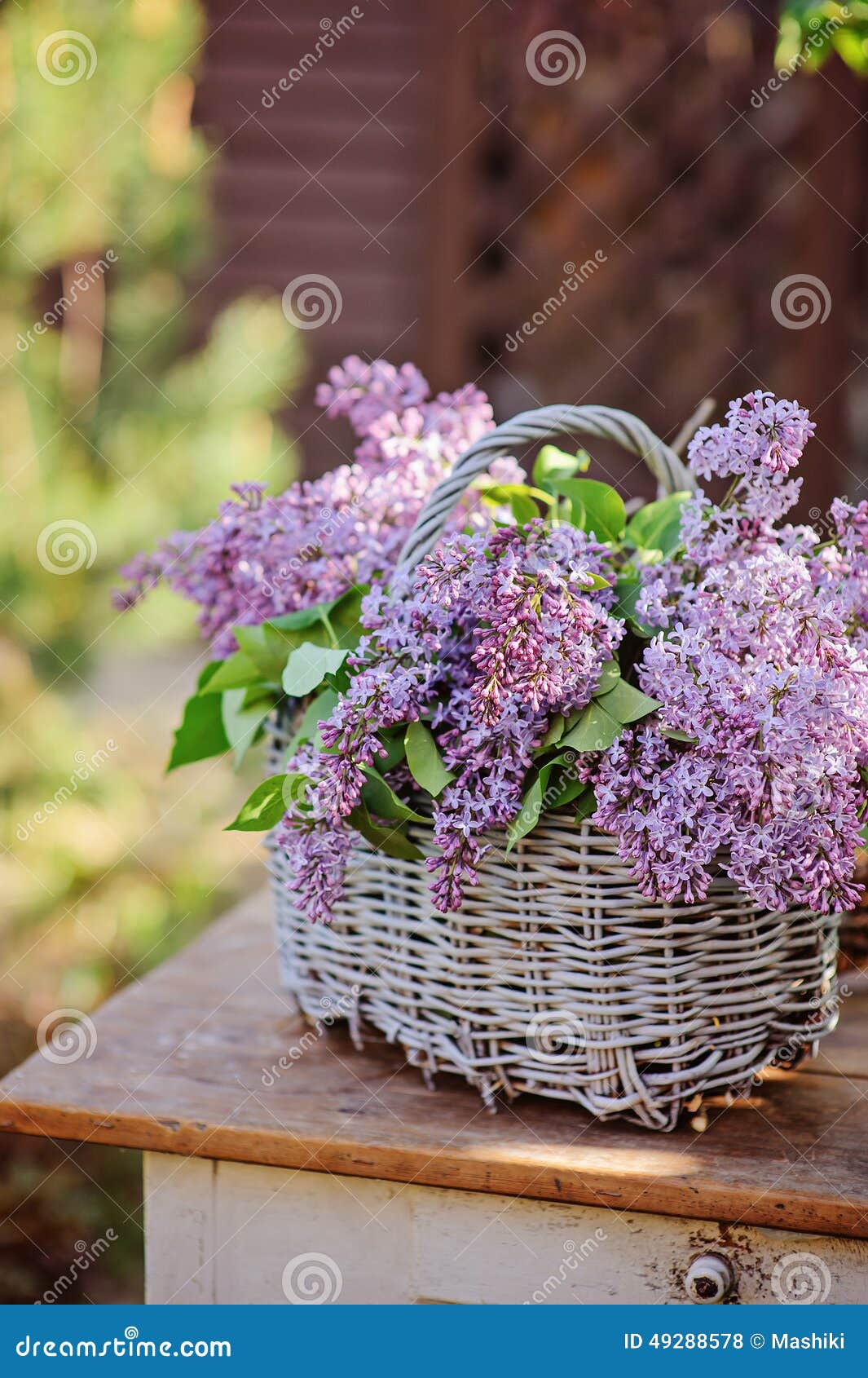 Basket of Spring Lilacs on Vintage Bureau in Spring Garden Stock Photo ...